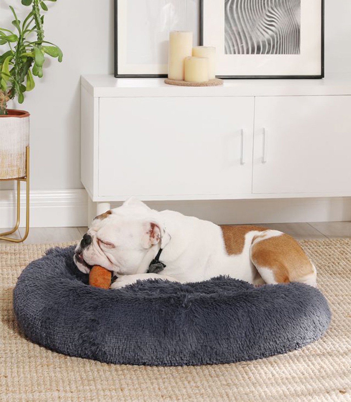 Pat lavabil rotund pentru caini , rotund, antialunecare, diametru 80 cm ...